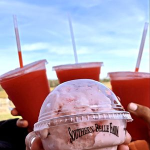 SOUTHERN BELLE FARM - 606 Photos & 153 Reviews - Fruits & Veggies ...