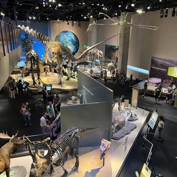 PEROT MUSEUM OF NATURE AND SCIENCE - Updated December 2024 - 2352 ...