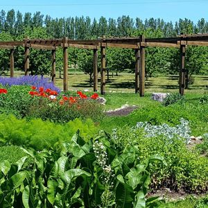 CHERRY POINT FARM & MARKET - 155 Photos & 28 Reviews - 9600 West ...