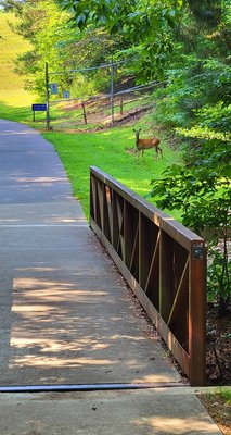 NEUSE RIVER GREENWAY TRAIL - Updated July 2025 - 74 Photos & 26 Reviews ...