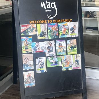 WAG HOTELS - CARSON - Updated December 2025 - 264 Photos & 363 Reviews ...
