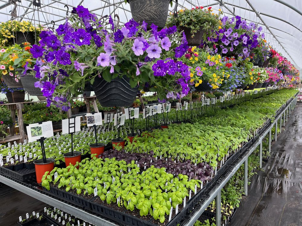 MISTY VALLEY FARM - Updated January 2026 - 13 Photos - 1425 Valley Rd ...