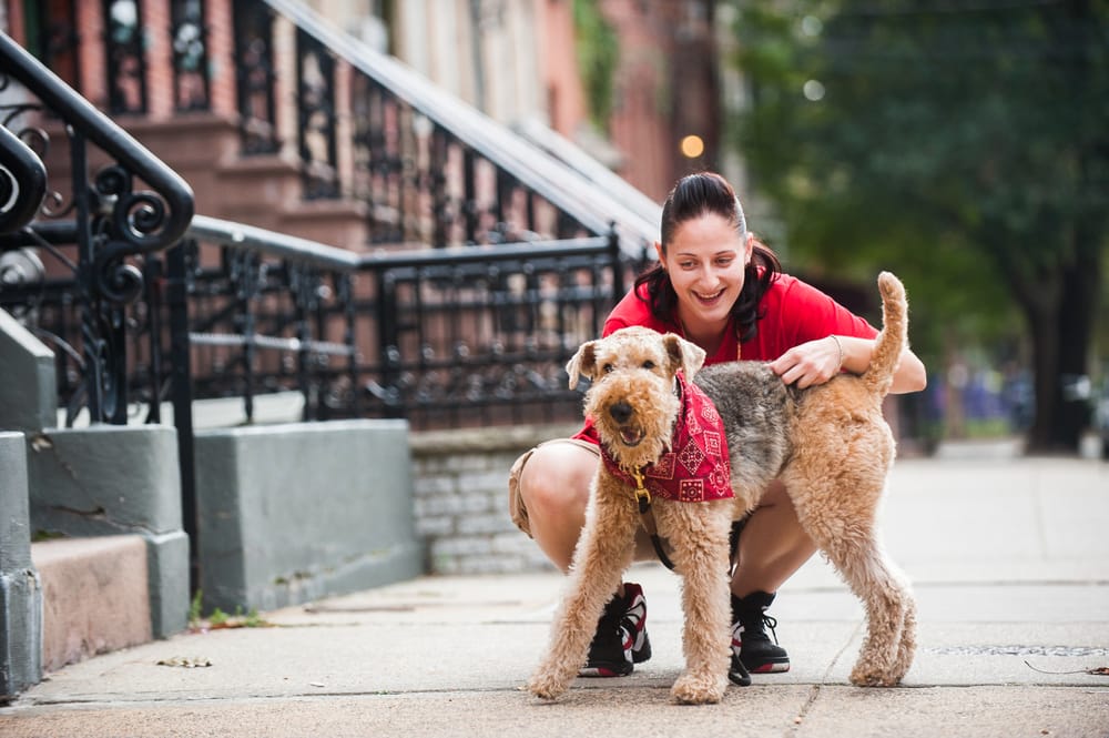 HOUND AROUND DOG WALKERS - Updated January 2026 - 16 Reviews - Hoboken ...