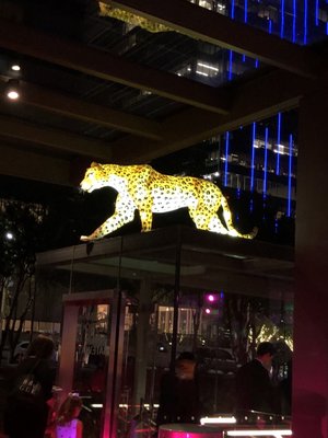 THE DALLAS OPERA - Updated October 2024 - 13 Photos - 2403 Flora St ...