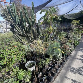 BAMBOO NURSERY & GARDEN SUPPLIES - Updated April 2025 - 18 Photos ...