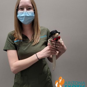 ARIZONA BIRD STORE - 45 Photos & 45 Reviews - 565 S Dobson Rd, Mesa, AZ ...