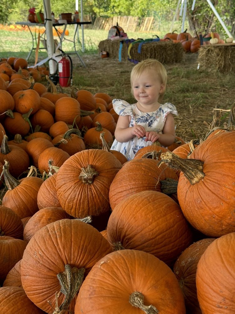 CAPITAL CITY VFW POST 8787 - Updated December 2025 - 21 Photos - 500 ...