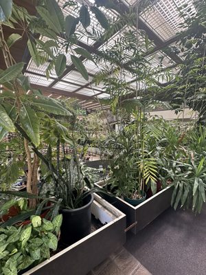 DOWNTOWN RENO LIBRARY - Updated May 2025 - 84 Photos & 35 Reviews - 301 ...