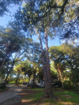 SUNCOAST RV RESORT - Updated December 2025 - 16 Photos - 9029 US Hwy 19 ...