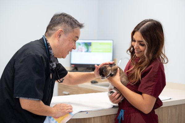 AINA HAINA VETERINARY CLINIC - Updated October 2025 - 17 Photos & 29 ...