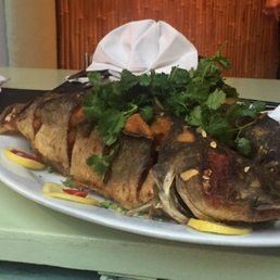 CHINOIS ON MAIN - 500 Photos & 585 Reviews - 2709 Main St, Santa Monica ...