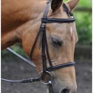 LIEGE MANOR EQUESTRIAN CENTRE - Updated July 2025 - Bonvilston, Cardiff ...