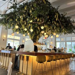 MOTEK CORAL GABLES - Updated May 2025 - 1019 Photos & 384 Reviews - 45 ...