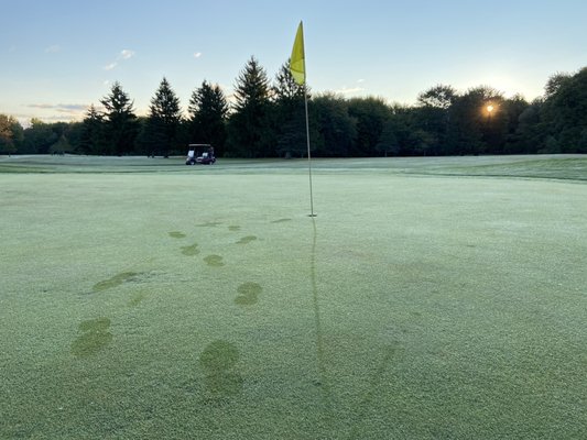 SYCAMORE GOLF CLUB - Updated May 2026 - 15 Reviews - 1148 Wayneport Rd ...