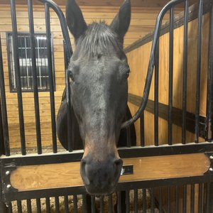 LYLE HALLMAN POOL - Updated January 2025 - 600 Heritage Drive ...