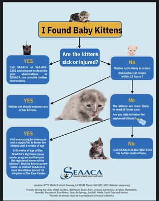 SOUTHEAST AREA ANIMAL CONTROL AUTHORITY - Updated September 2025 - 203 ...