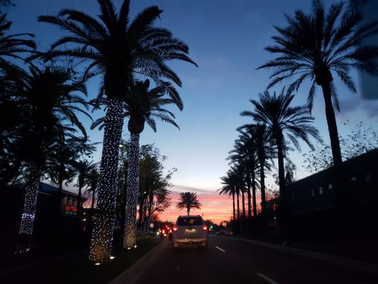 DESERT RIDGE MARKETPLACE - 30 Photos - 21001 N Tatum Blvd, Phoenix ...