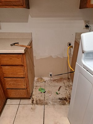 NEVADA COMMUNITY MANAGEMENT - Updated October 2025 - 18 Photos & 67 ...