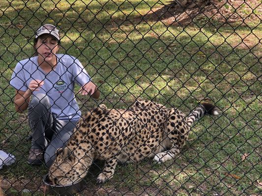 PANTHER RIDGE CONSERVATION CENTER - 286 Photos & 108 Reviews - 2143 D ...