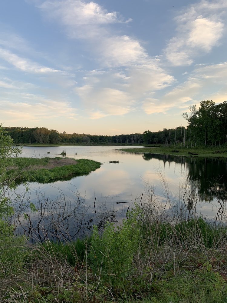 PALATKA TO LAKE BUTLER STATE TRAIL - Updated April 2025 - 28 Photos ...