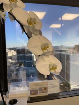 JUSTIN RAANAN, DDS MMSC PERIODONTIST BEVERLY HILLS - Updated December ...