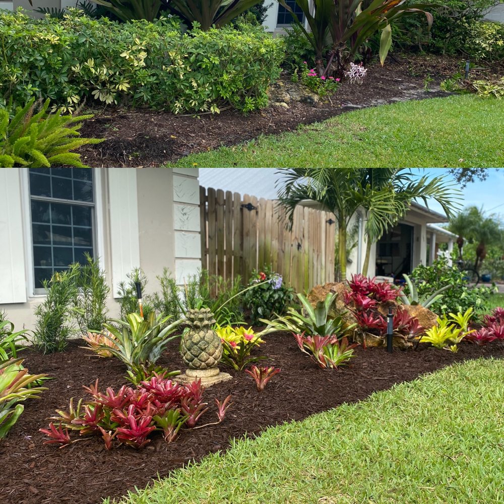SCG TREE TRIMMING & LANDSCAPING - Jupiter, Florida - Landscaping ...
