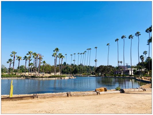 ROWENA RESERVOIR - Updated October 2025 - 50 Photos - 3100 Ettrick St ...