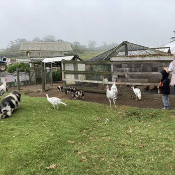 THE LILI HOUSE FARM - Updated December 2025 - 67 Photos & 22 Reviews ...