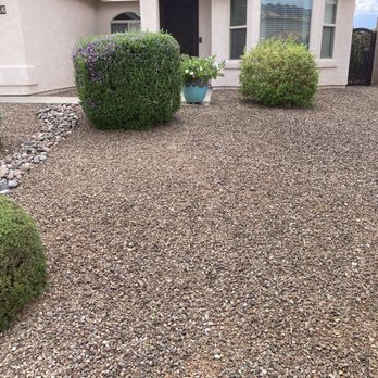 TREE MONKEY TREE TRIMMING - Updated July 2024 - 51 Photos & 55 Reviews ...