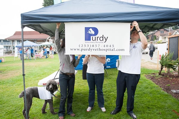 Purdy Veterinary Hospital - Updated June 2026 - 11 Photos & 51 Reviews ...