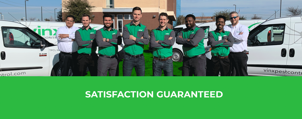 VINX PEST CONTROL - Updated August 2025 - 29 Photos & 19 Reviews - 4790 ...