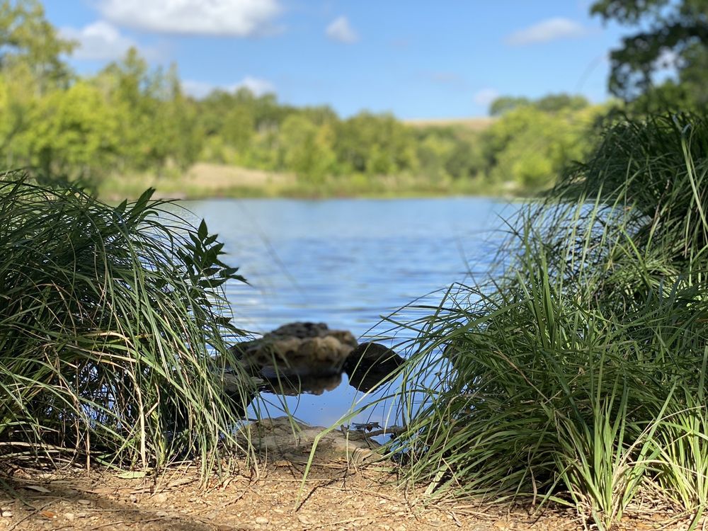 CHALK RIDGE FALLS PARK - Updated December 2025 - 262 Photos & 61 ...