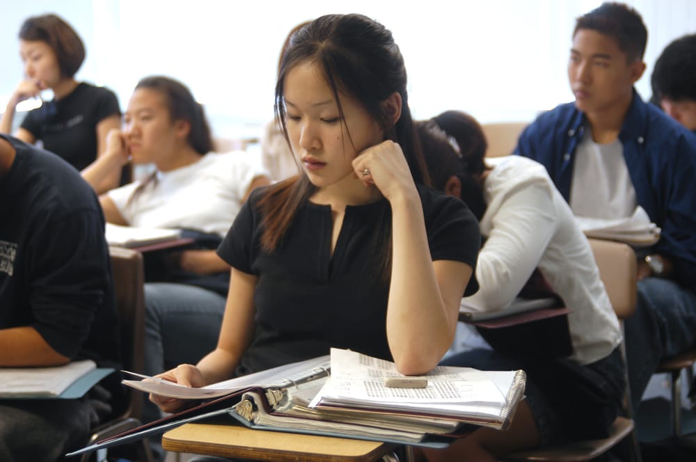 ACCEL ACADEMY - Updated June 2025 - 1329 W Cheltenham Ave, Melrose Park ...