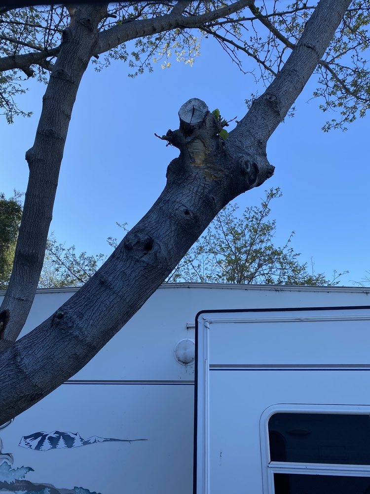 ALL SEASONS RV PARK - Updated December 2024 - 45 Photos & 19 Reviews ...