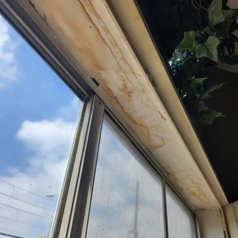 POW! BUG SQUAD - Updated January 2026 - 96 Photos & 108 Real Reviews ...