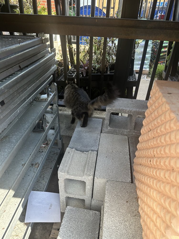 SILVER SPRING ACE HARDWARE - Updated January 2026 - 18 Photos & 18 ...