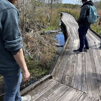 BARATARIA PRESERVE - Updated January 2025 - 281 Photos & 55 Reviews ...