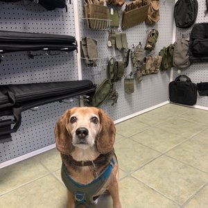 SANTA ROSA SHOOTING CENTER - Updated December 2025 - 22 Photos & 19 ...