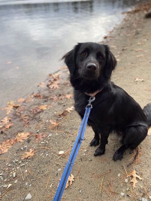 ELEVENTH HOUR RESCUE - 42 Photos & 83 Reviews - 77 Flanders Rd ...