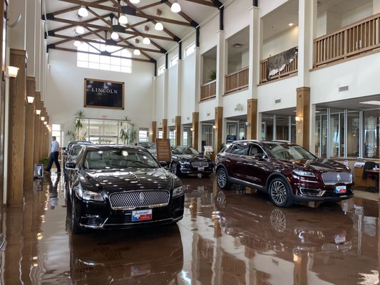 BLUEBONNET FORD LINCOLN - Updated January 2026 - 51 Photos & 165 ...