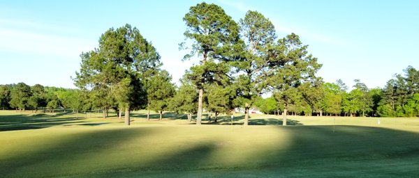 GOSHEN GOLF - Updated June 2026 - 22 Photos & 13 Reviews - 1601 Goshen ...