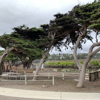 SHAMEL PARK - Updated January 2026 - 124 Photos & 32 Reviews - 5455 ...