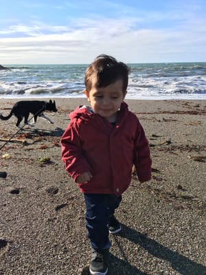 AVOCADO HEIGHTS PARK - 22 Photos - 14105 Don Julian Rd, La Puente ...