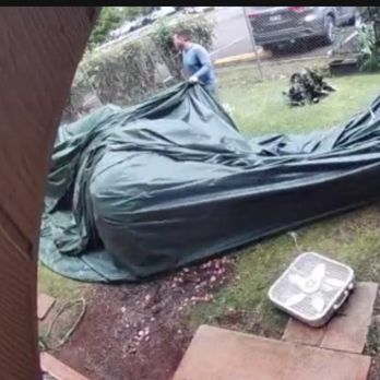 PEST TECH HAWAII - Updated June 2025 - 84 Photos & 120 Reviews - 2007A ...