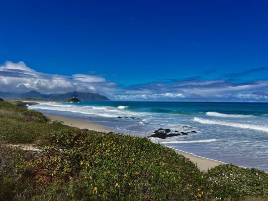 301 Moved Permanently