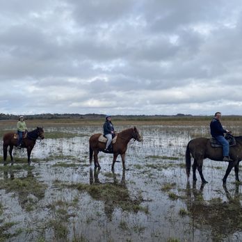 HIDDEN PALMS RANCH - Updated December 2025 - 93 Photos & 28 Reviews ...