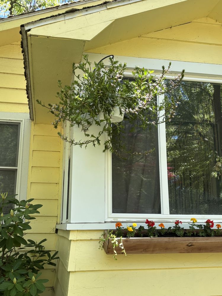 BOSCH’S BEST BUSHES - Updated January 2026 - 18567 174th Ave, Spring ...