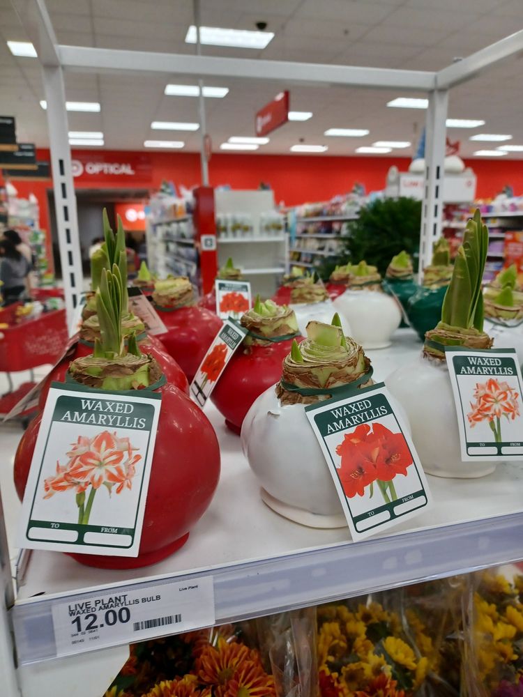 TARGET - Updated December 2025 - 453 Photos & 336 Reviews - 2700 Fifth ...