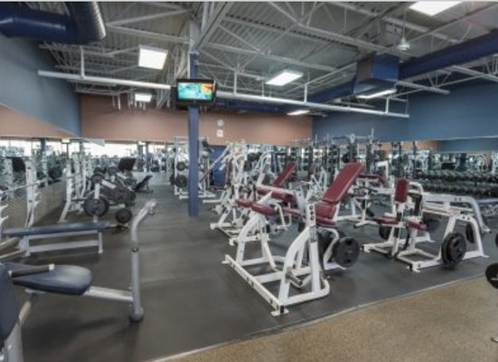 THE WORKOUT CLUB - 22 Photos - 35 Hamel Dr, Manchester, NH - Yelp