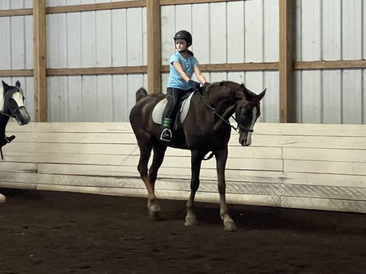 CROSS CREEK STABLES - Updated November 2025 - 76 Photos & 11 Reviews ...